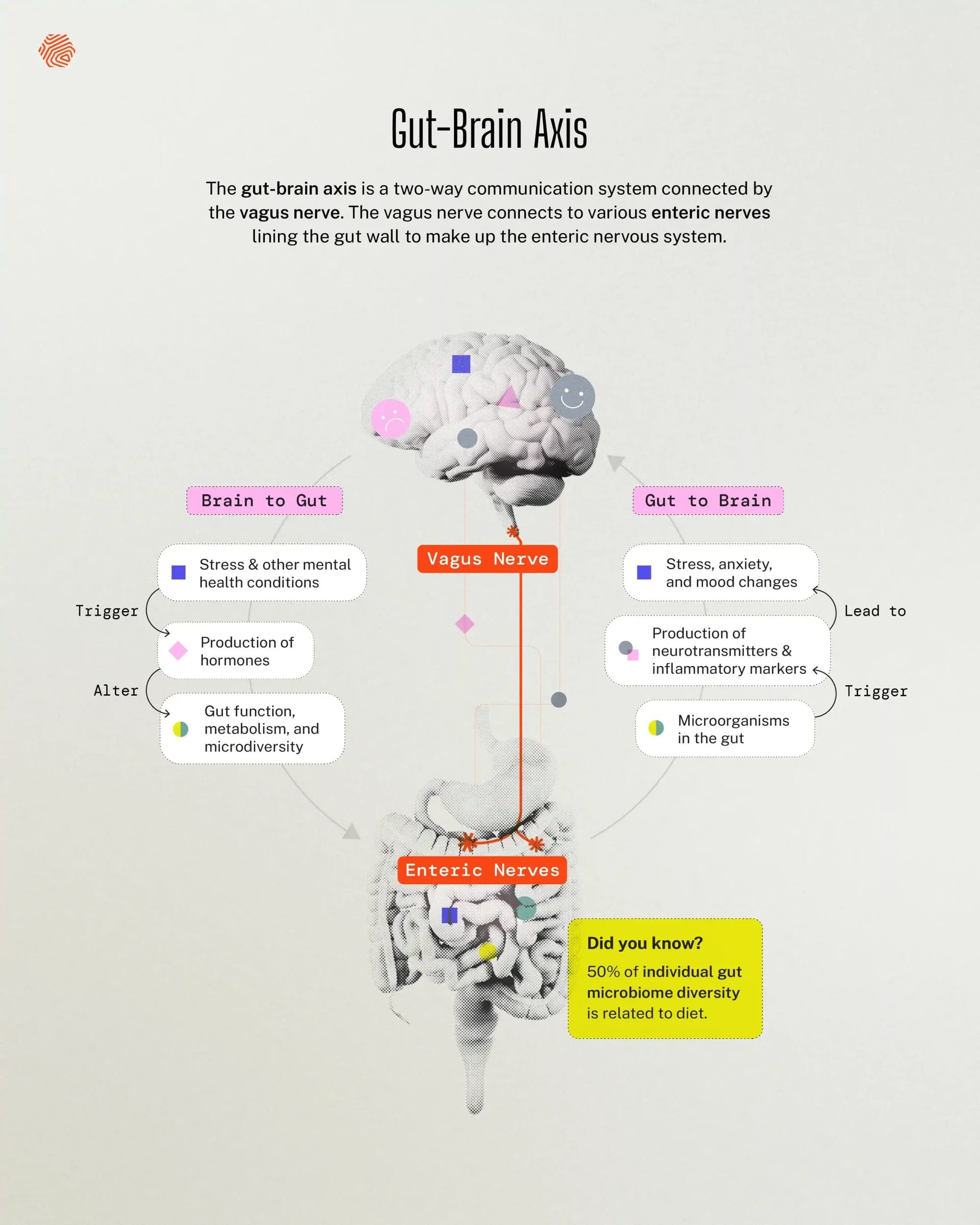 Unlocking the Secrets of the Gut Biome: Your Gateway to Health