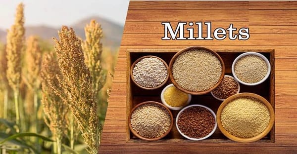 Millets: Health Benefits, Nutrition & Easy Recipes